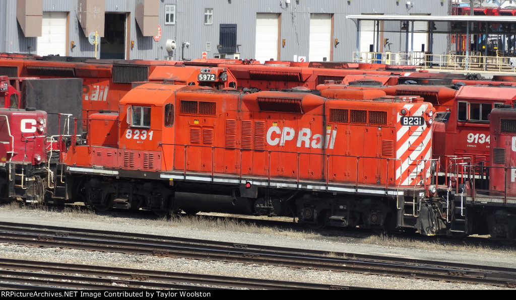 CP 8231
